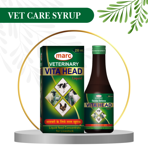 Buy vita head Syrup for animal | used Increase milk yield |Marccure