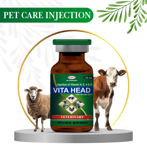 buy online Vita Head Injection-Marccure