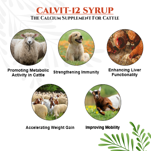 Buy calvit 12 Syrup for animal Improves calcium needsy (milk fever ...