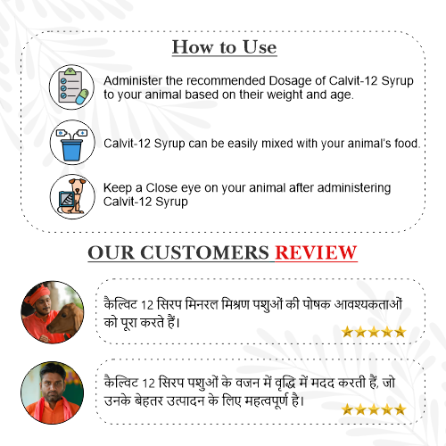 Buy calvit 12 Syrup for animal Improves calcium needsy (milk fever ...