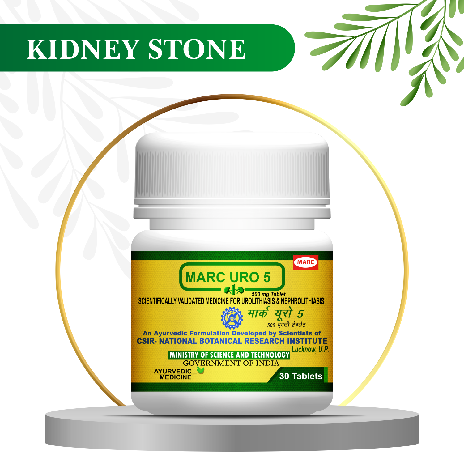 Ayurvedic medicine for kidney stone store